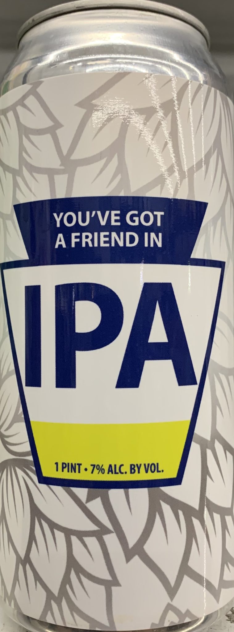 Pizza Boy You've Got a Friend In IPA | Bell Beverage